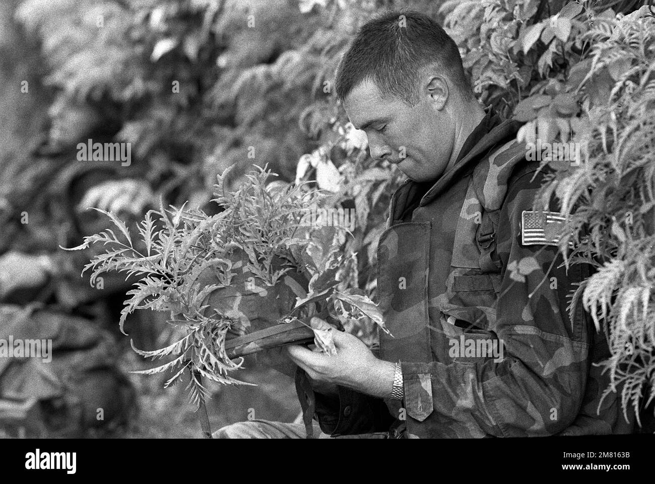 A Marine uses plants to camouflage his helmet as he participates in ...
