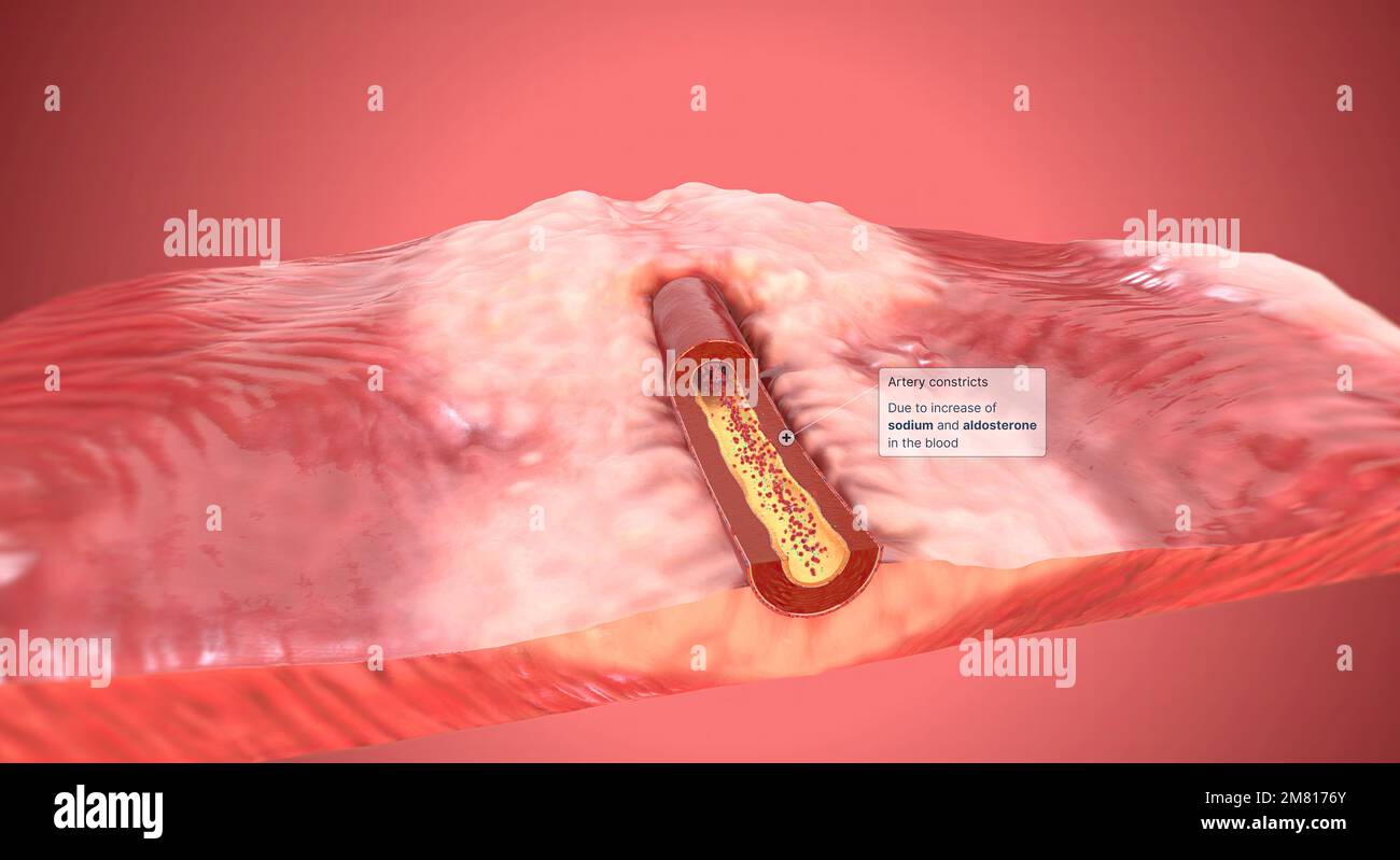 Mhc molecules hi-res stock photography and images - Alamy