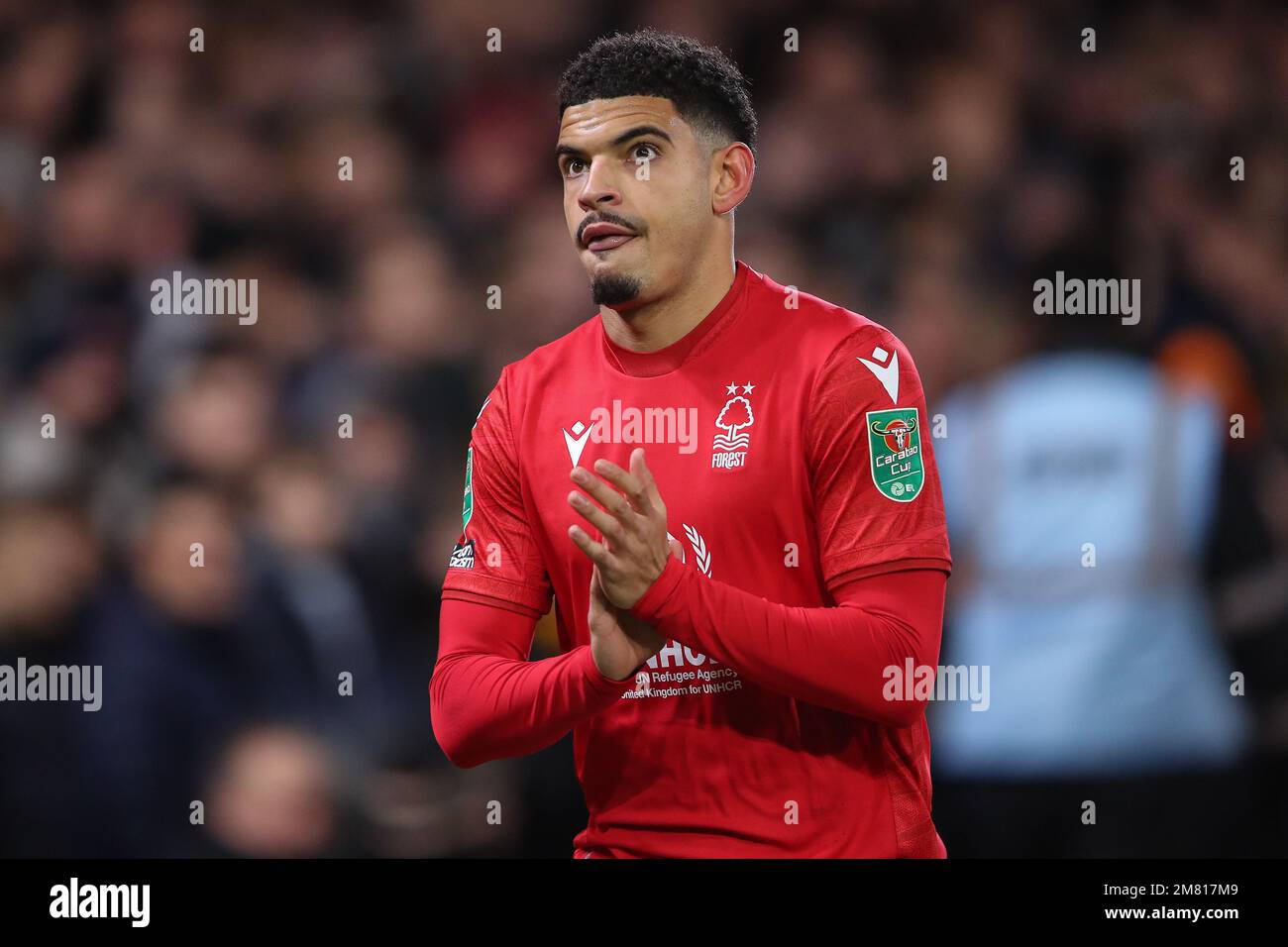Morgan gibbs white wolves hi-res stock photography and images - Alamy