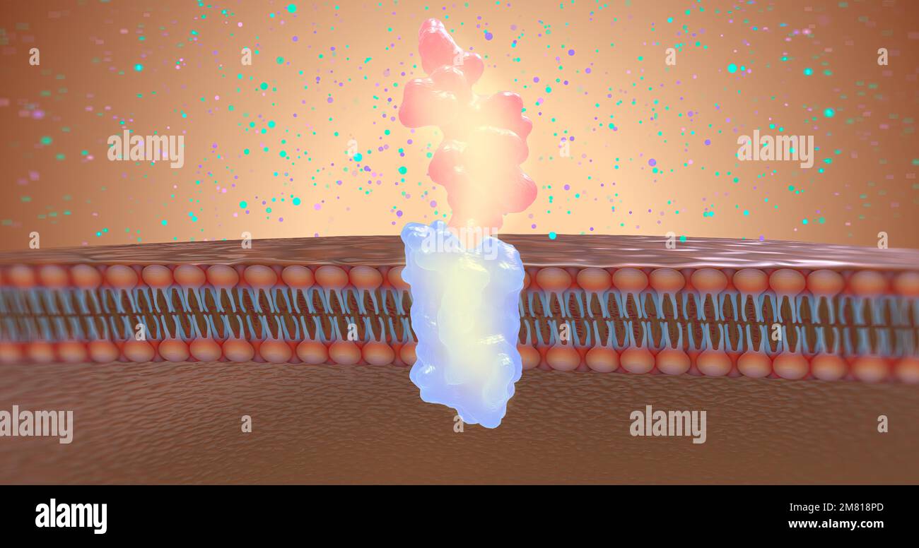 Connecting tract hi-res stock photography and images - Alamy