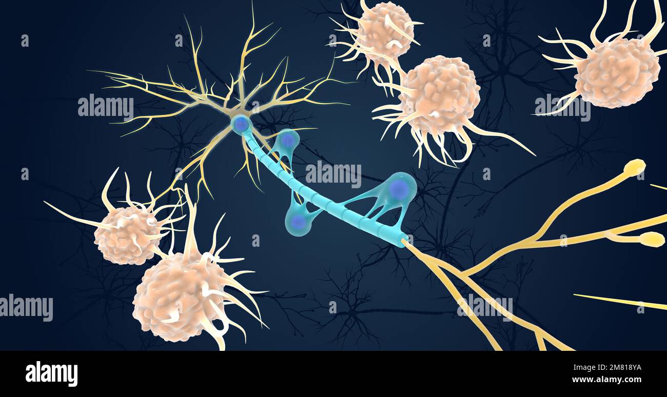 Myeline sheath hi-res stock photography and images - Alamy