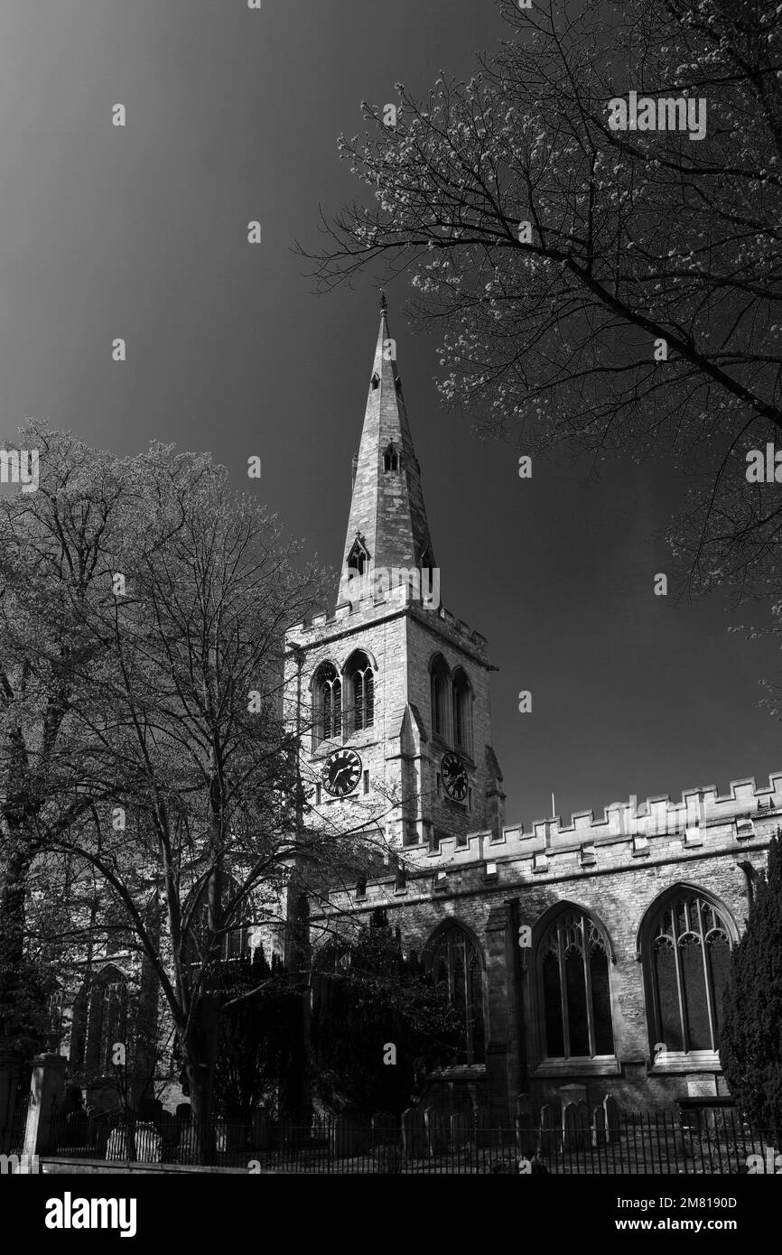 Summer, St Pauls parish church, Bedford town; Bedfordshire; England; UK ...