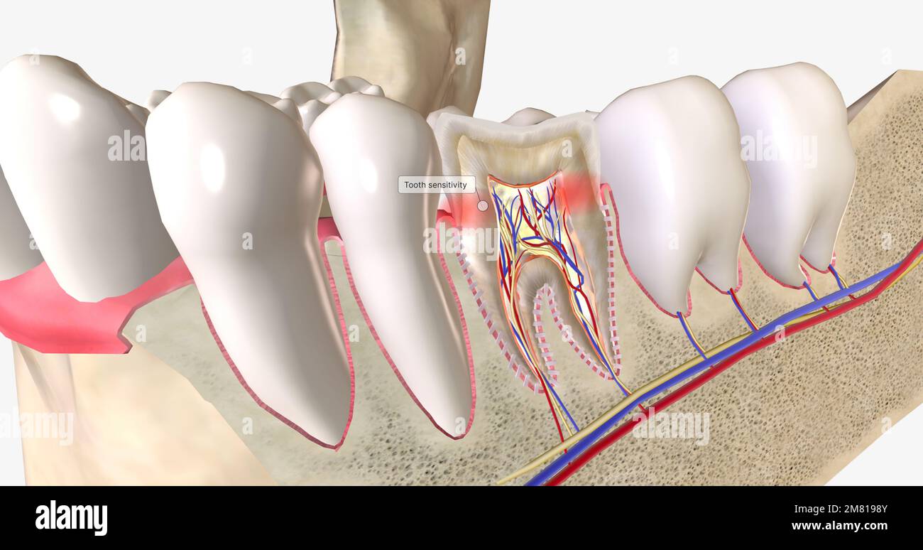 Sharp dentition hi-res stock photography and images - Alamy