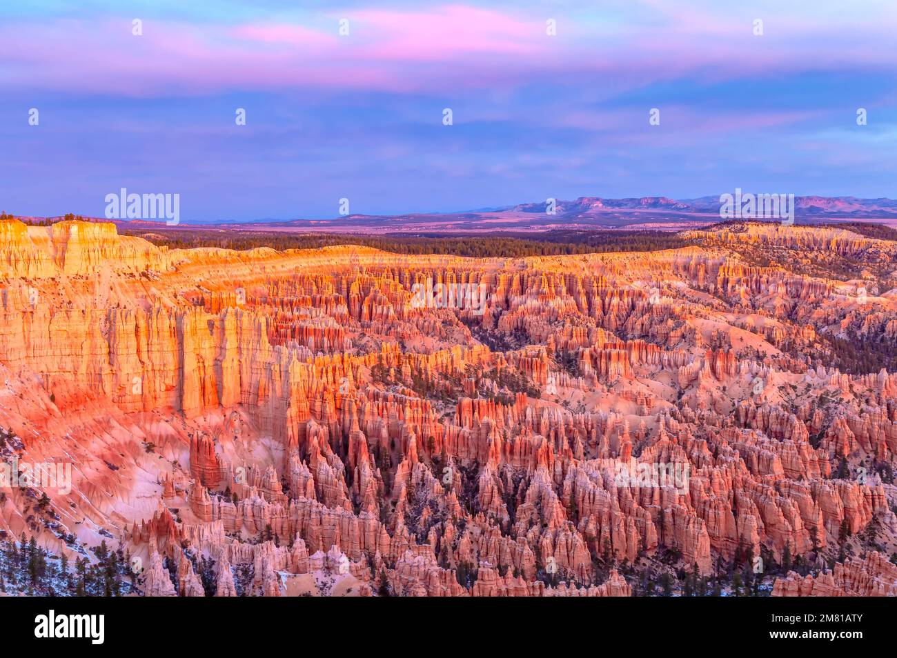 Bryce Point, Bryce Canyon National Park, Utah, USA, North America Stock ...