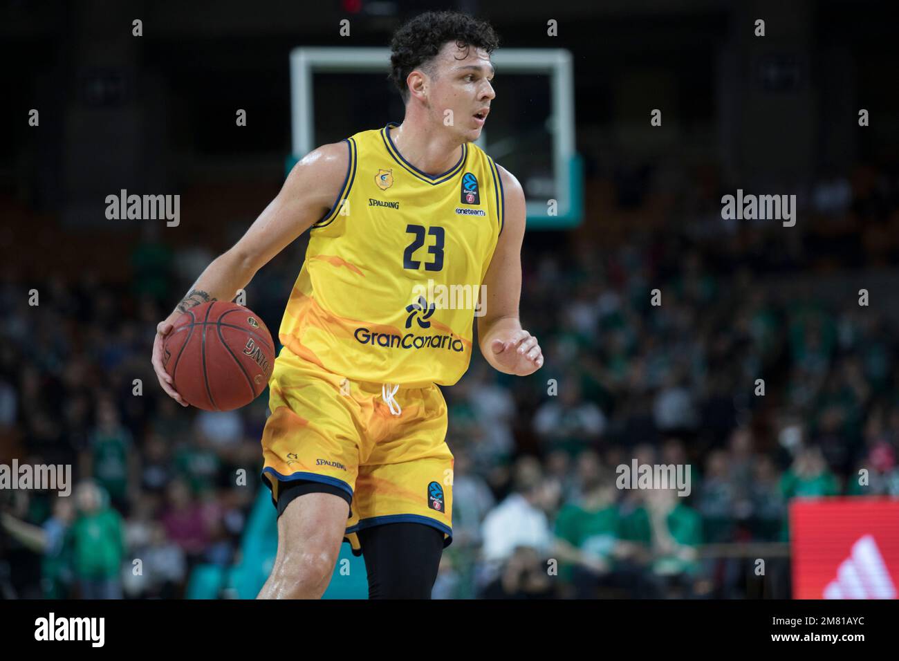 David mutaf hi-res stock photography and images - Alamy