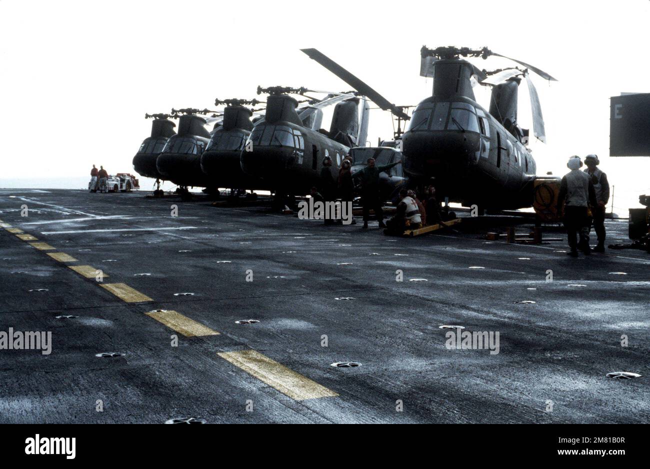 Several CH-46 Sea Knight helicopters on the flight deck of the ...