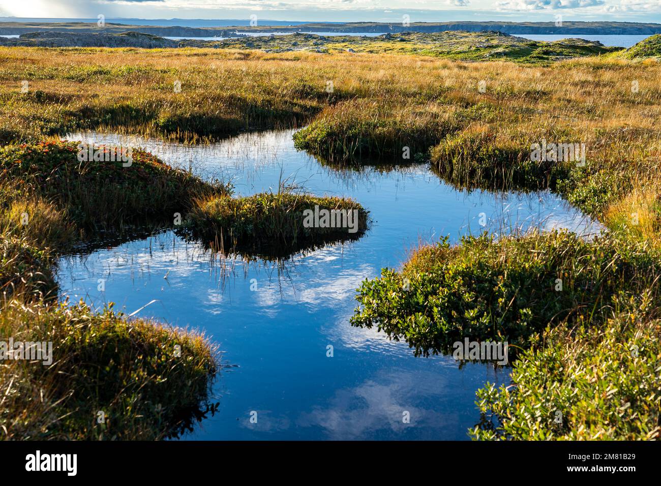 Water reflection through mossy natural grasslands along rocky tundra on ...