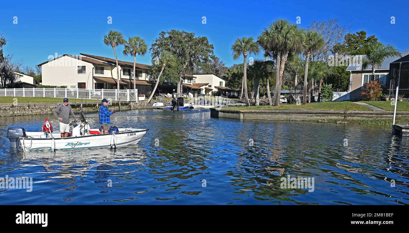 Crystal River and Kings Bay offers visitors a variety of fishl and ...