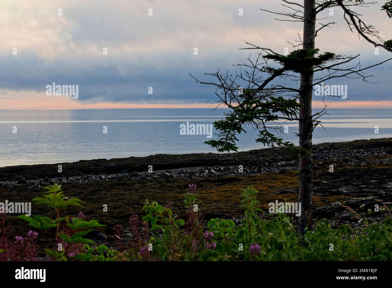 Fog and cloud over the Bay of Fundy, Nova Scotia Stock Photo - Alamy