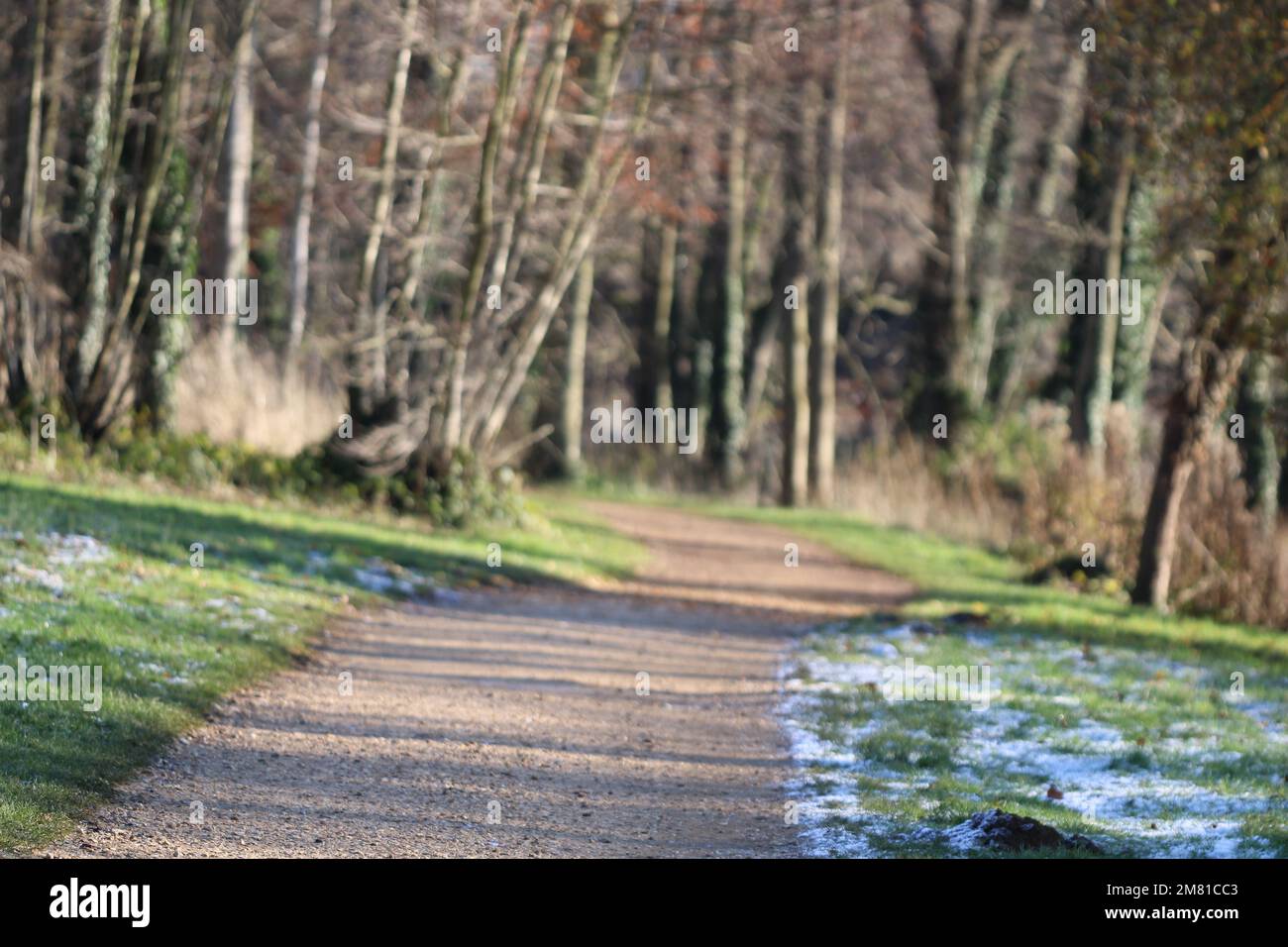 A close-up shot of a walking path in a park Stock Photo - Alamy
