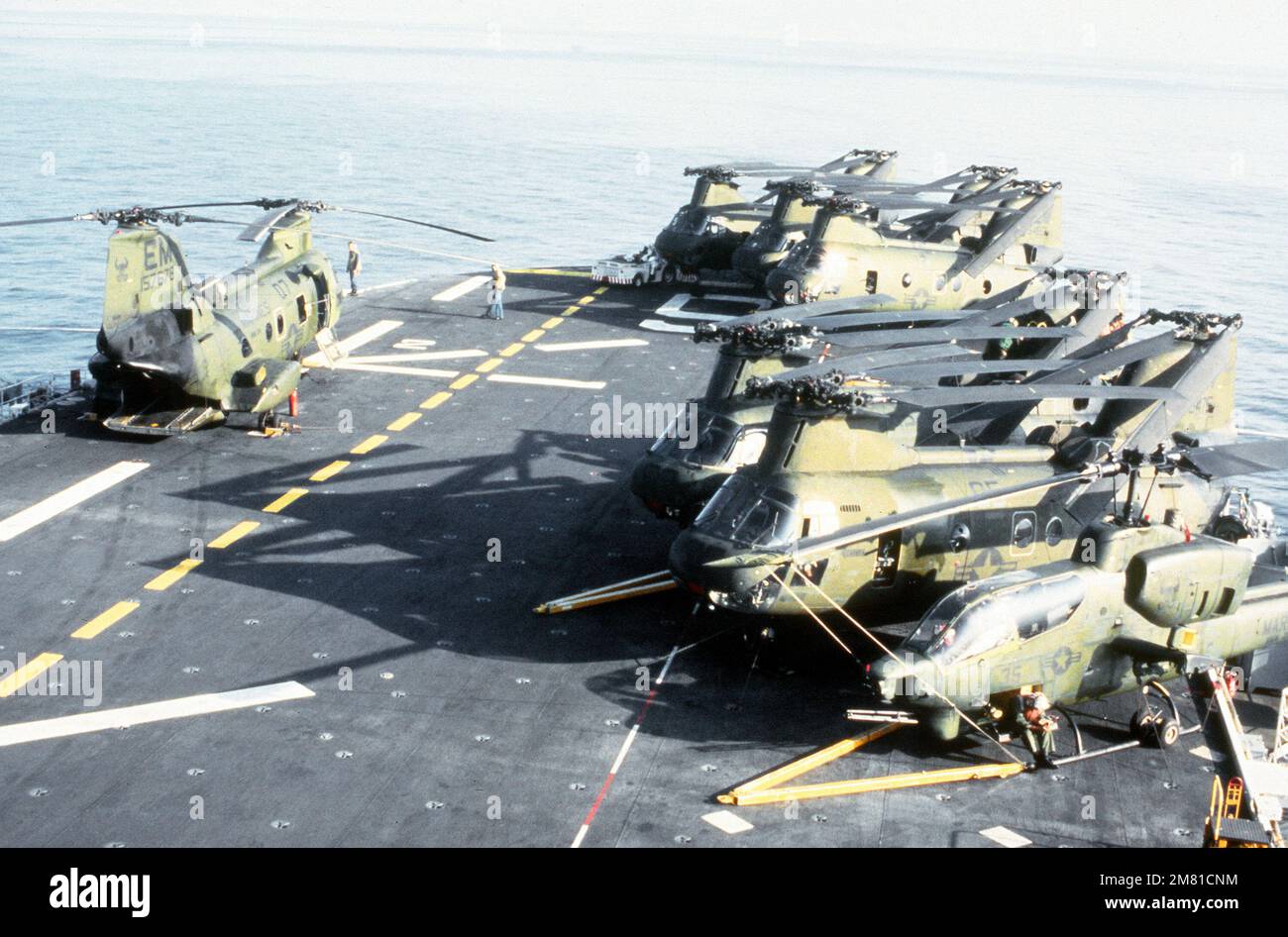 CH-46 Sea Knight helicopters and an AH-1J Sea Cobra helicopter parked ...