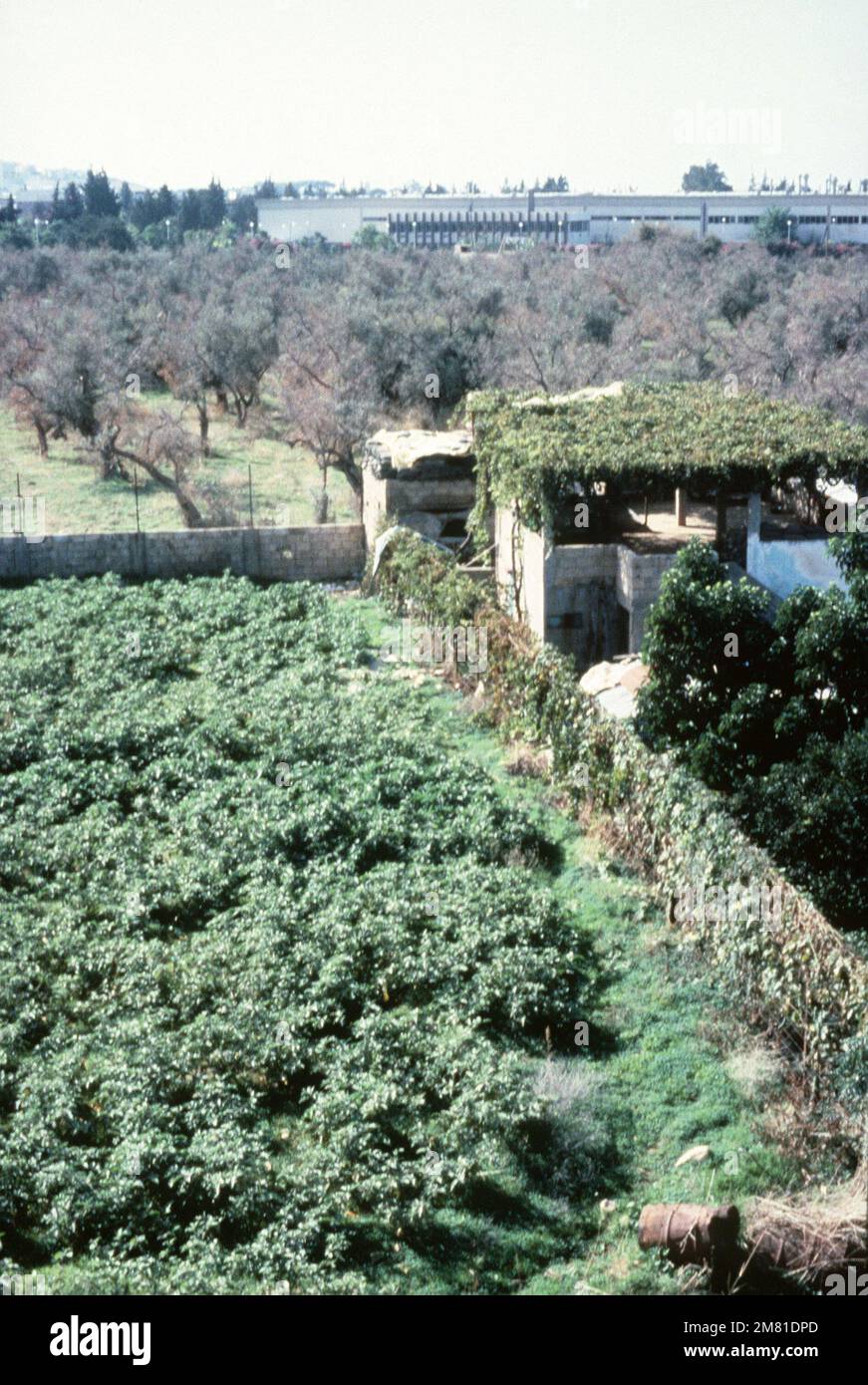 A view from a rooftop bunker position as Marines observe the ...