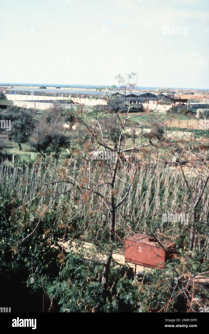 A view from a rooftop bunker position as Marines observe the ...