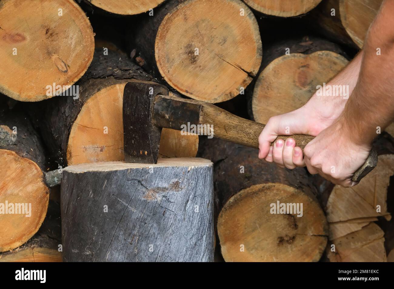 A man is chopping logs with an axe on chopping block. Harvesting of ...