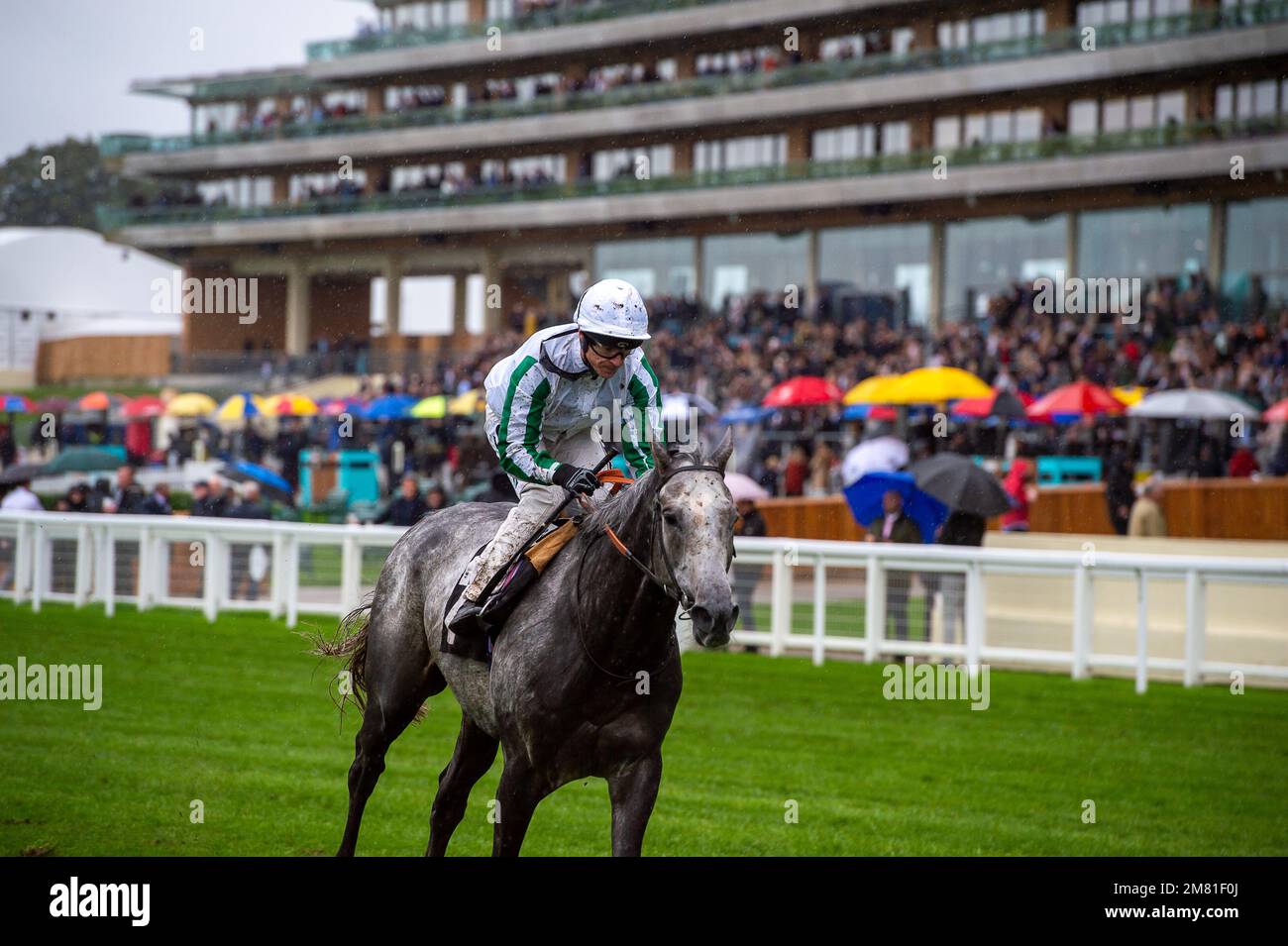 Ascot, Berkshire, UK. 2nd October, 2021. A muddy ride for horse Alignak ...