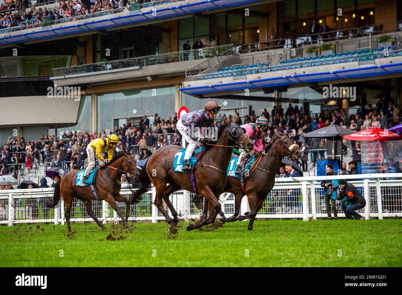 Summerghand horse hi-res stock photography and images - Alamy