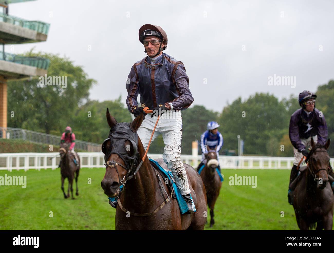 Summerghand horse hi-res stock photography and images - Alamy