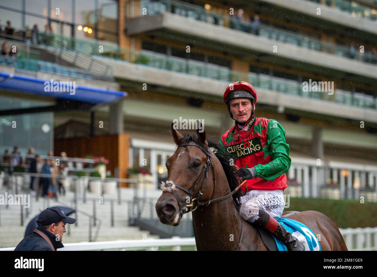 Diligent harry horse hi-res stock photography and images - Alamy