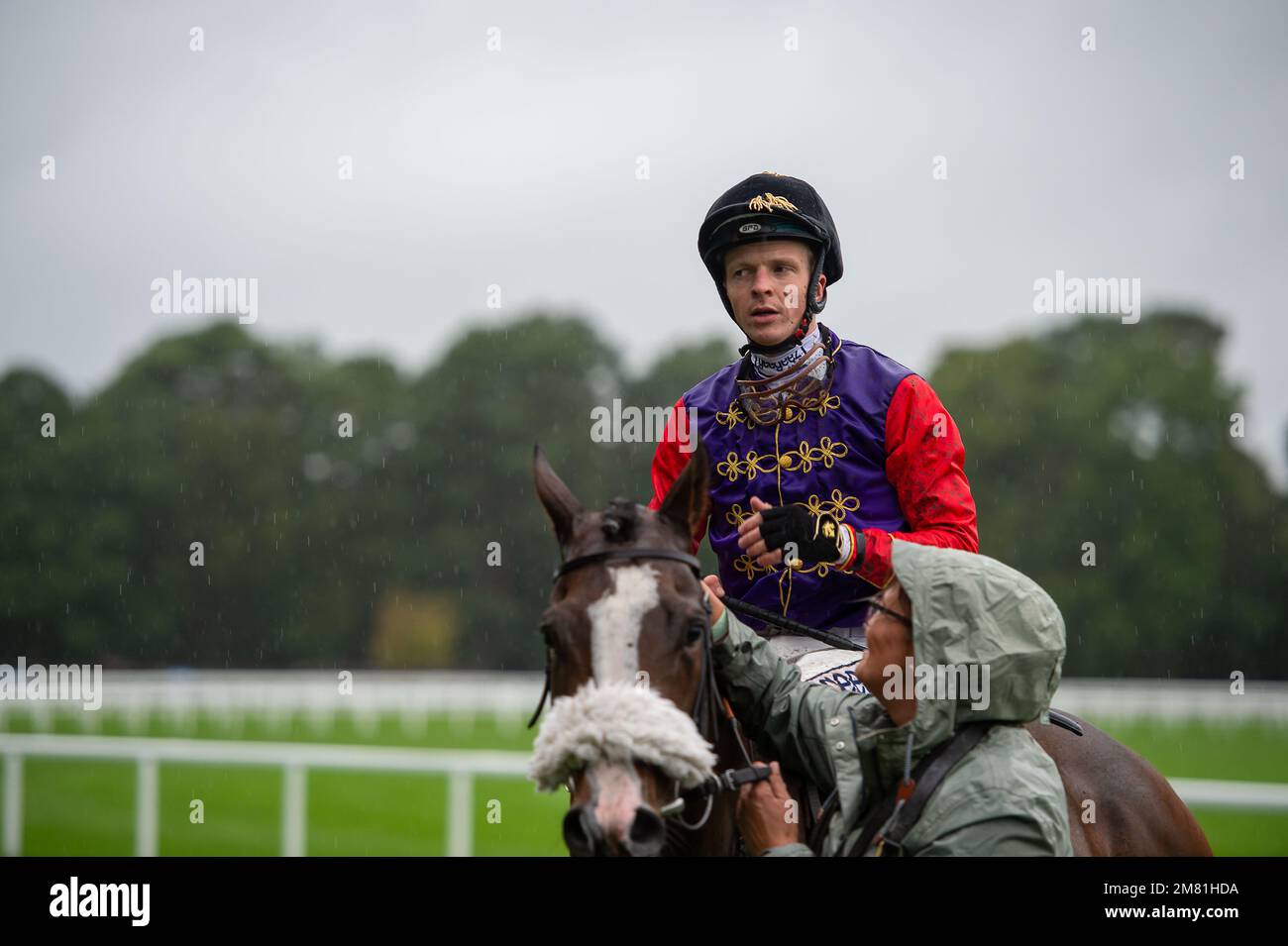 The john guest bengough stakes hi-res stock photography and images - Alamy