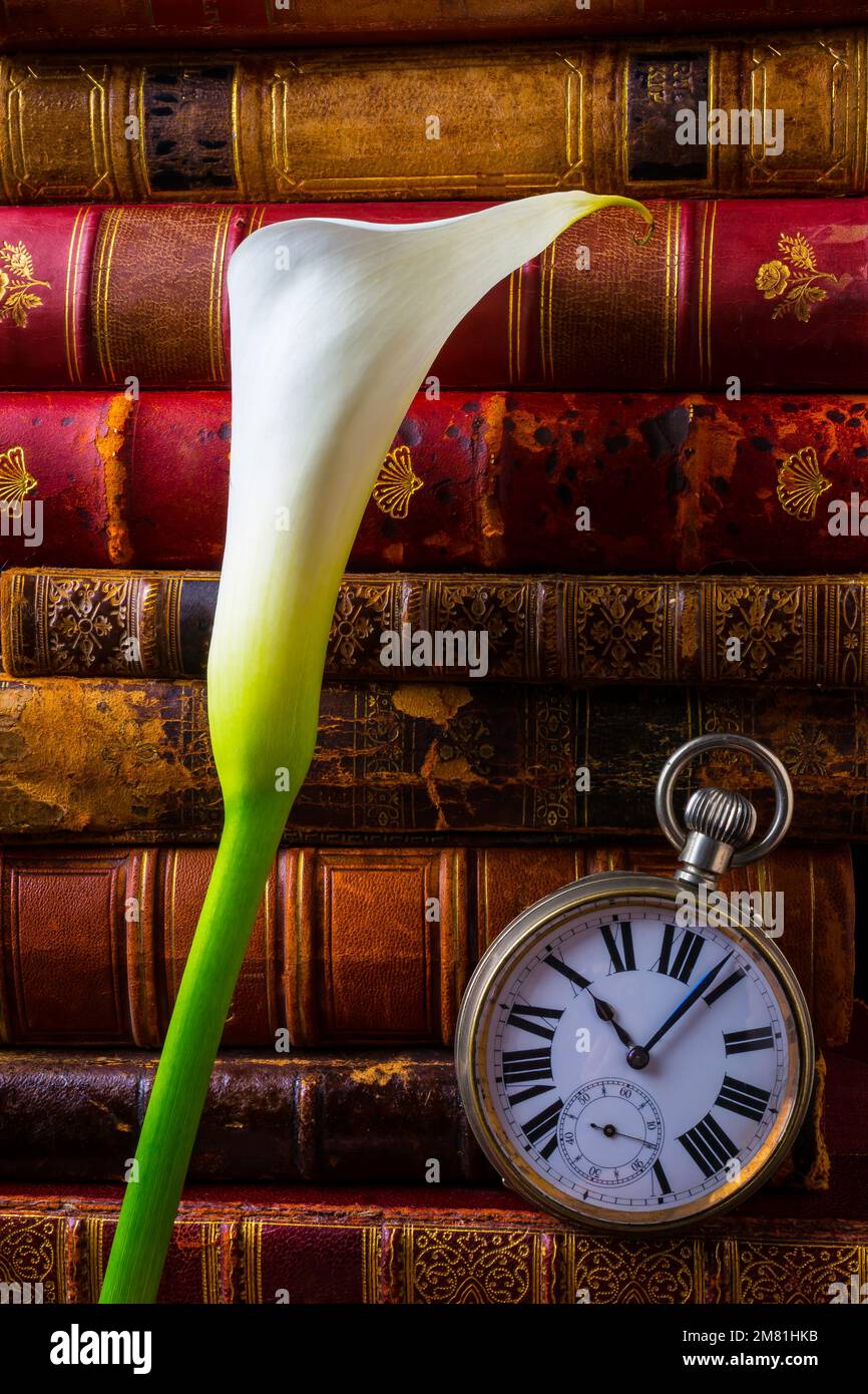 Calla Lily And Pocket Watch Stock Photo - Alamy