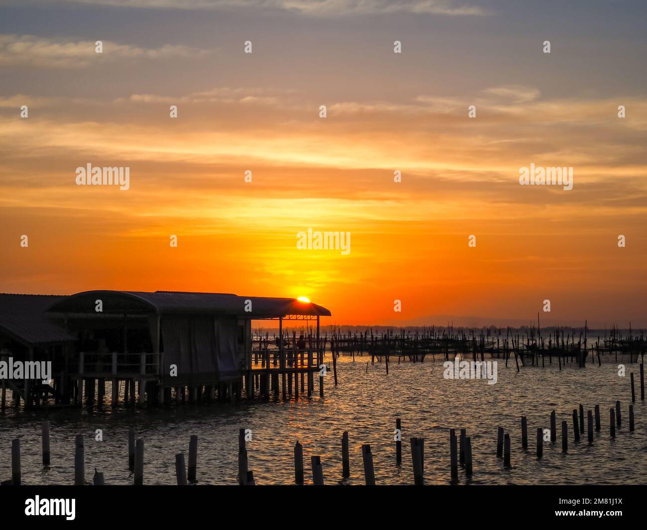 An aerial view of a bright sunset sky over wooden poles in the clear ...