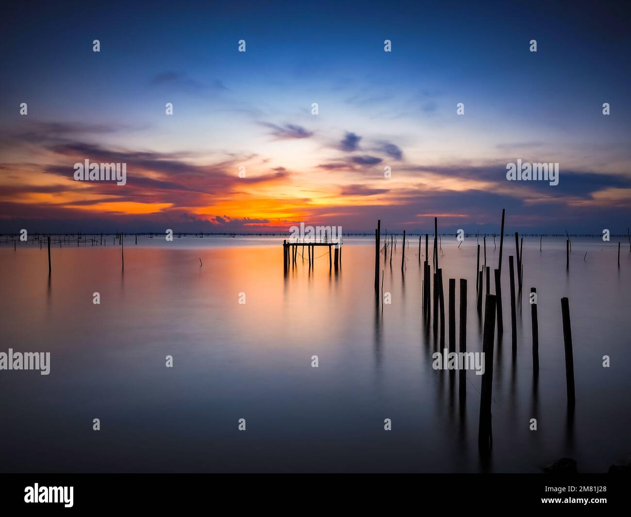 An aerial view of a bright sunset sky over wooden poles in the clear ...