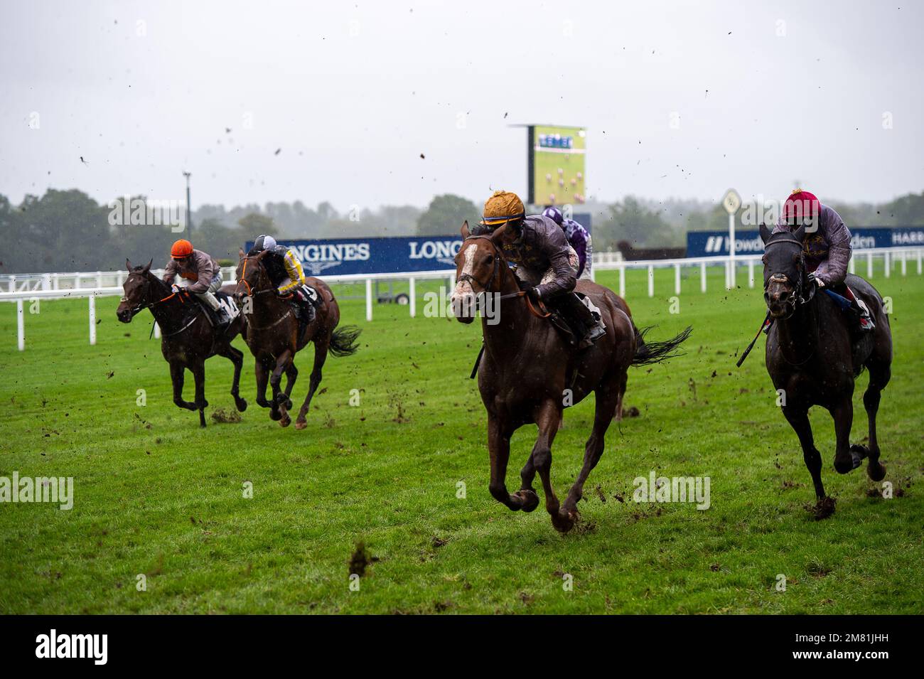 Ascot, Berkshire, UK. 2nd October, 2021. Riders in the Equine ...
