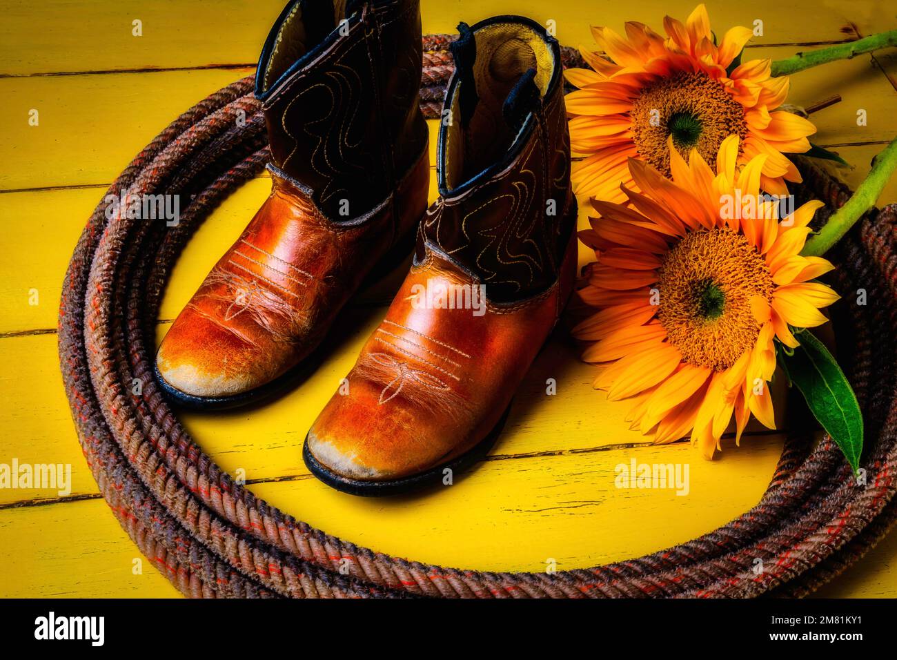 Cowboy life detail hi-res stock photography and images - Alamy