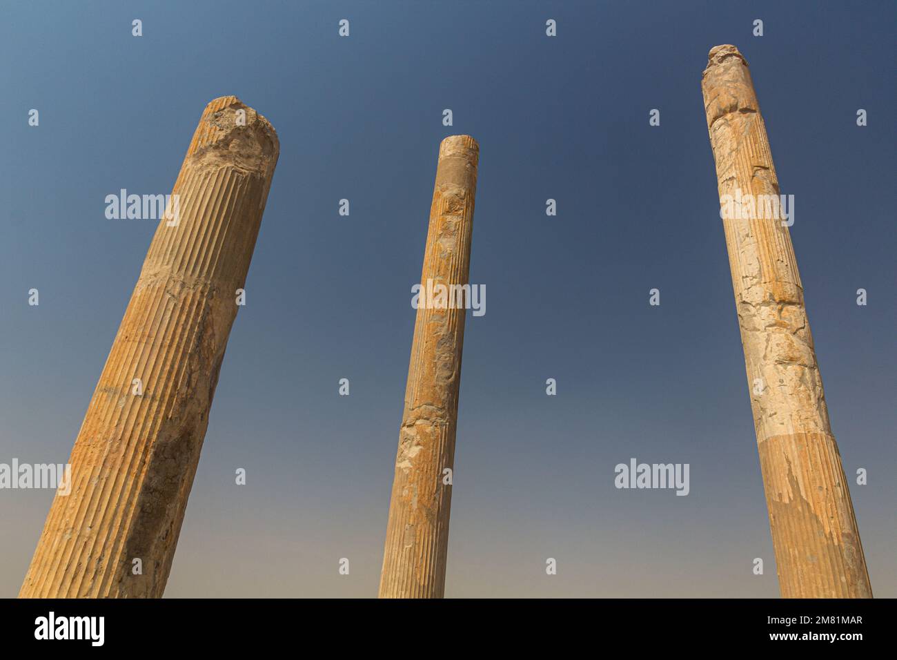 Columns of Apadana palace in the ancient Persepolis, Iran Stock Photo ...
