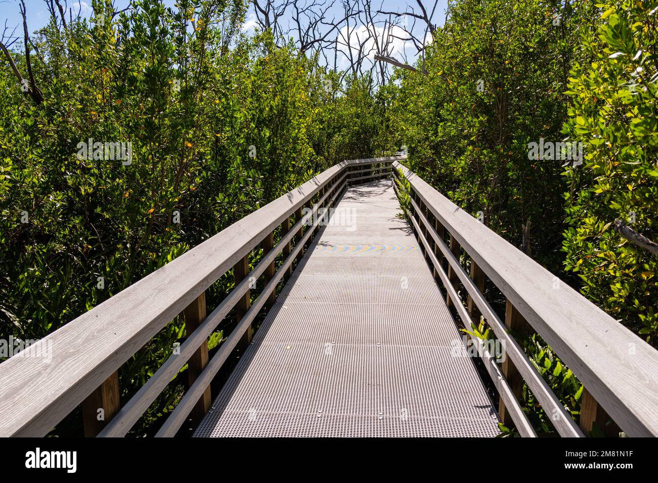Berman lake regional park hi-res stock photography and images - Alamy