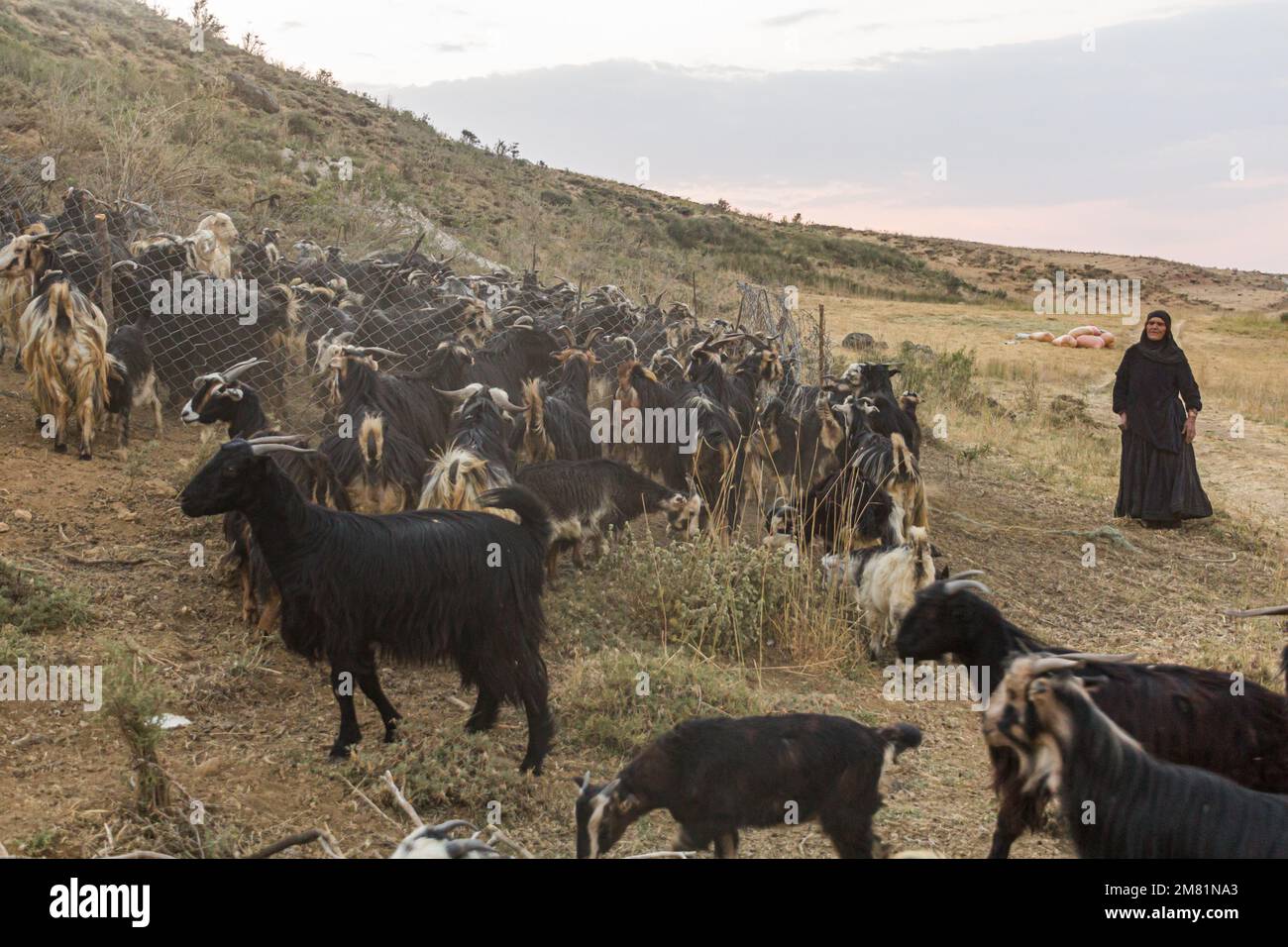 Nomadic nomads farm farmer hi-res stock photography and images - Alamy