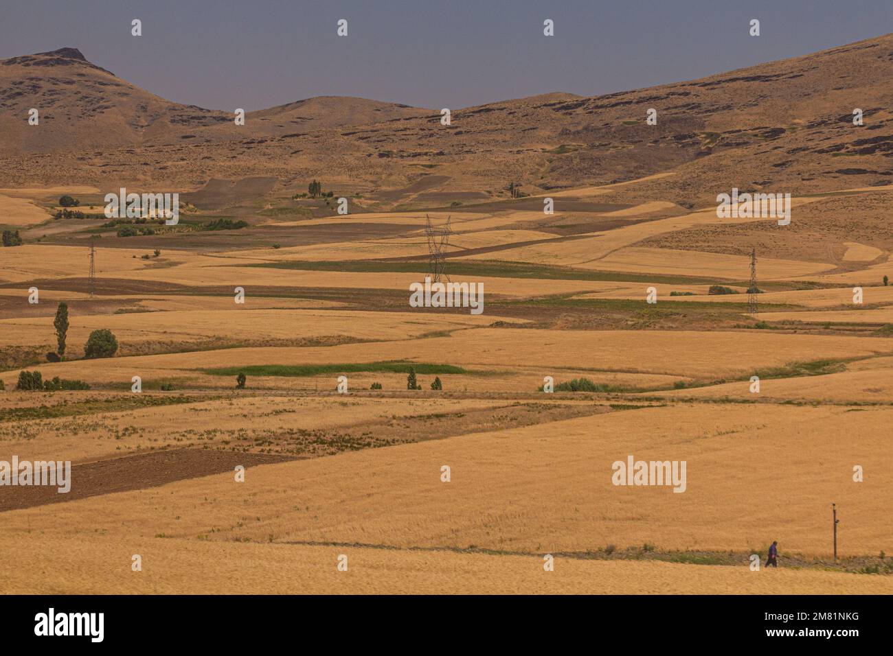 Iranian wilderness hi-res stock photography and images - Alamy