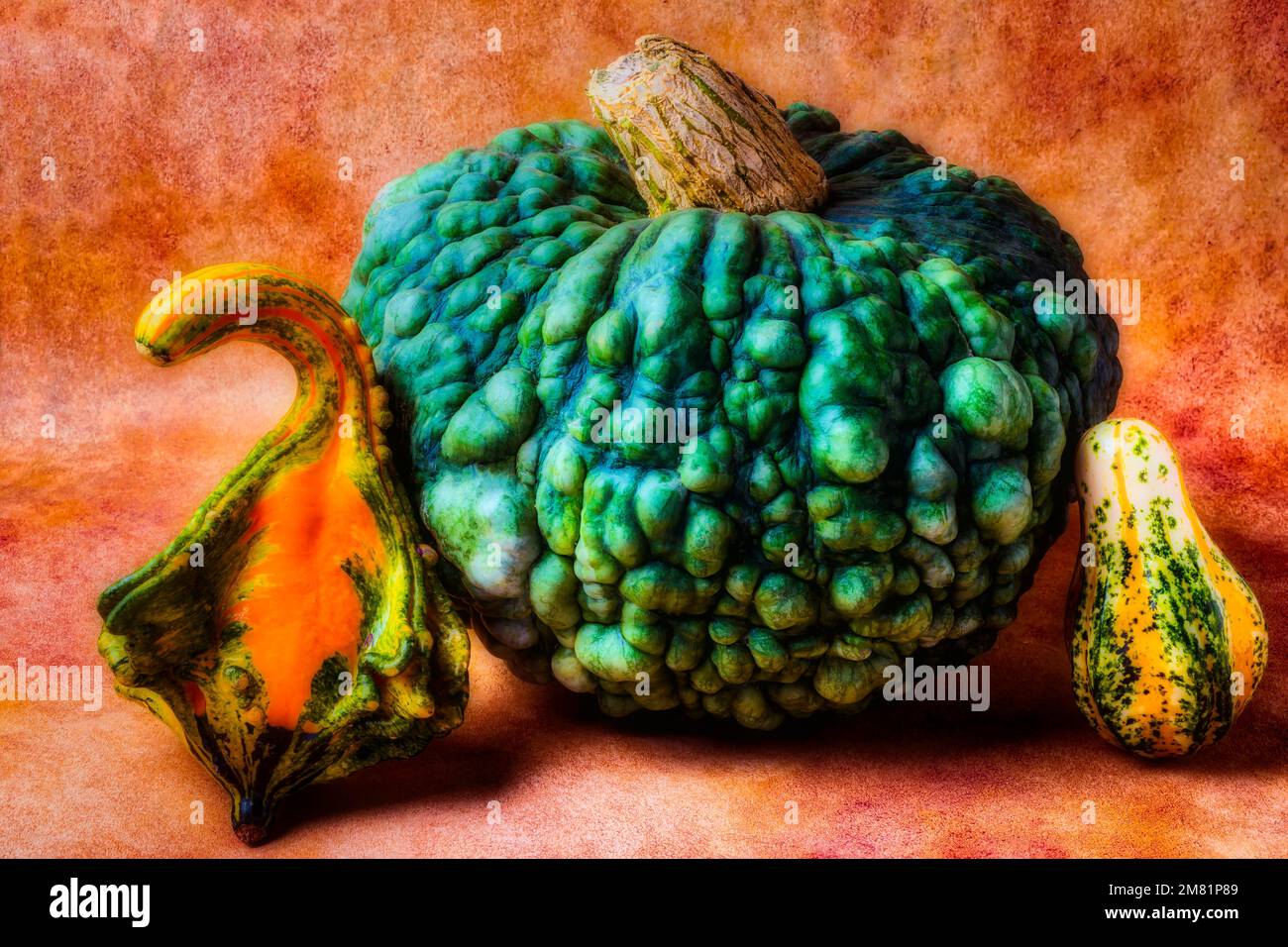 Green Autumn Pumpkin Stock Photo - Alamy
