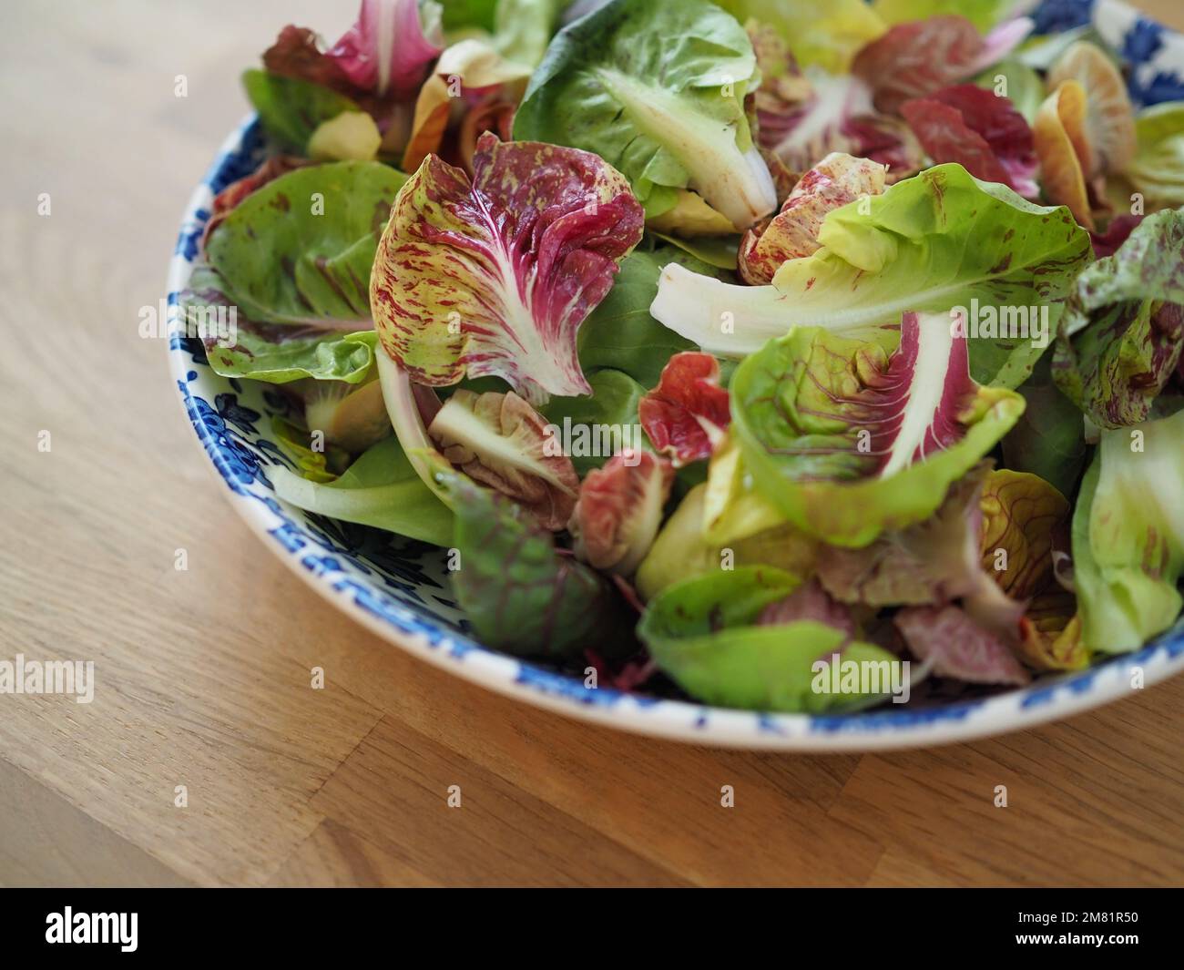 Venetian radicchio hi-res stock photography and images - Alamy