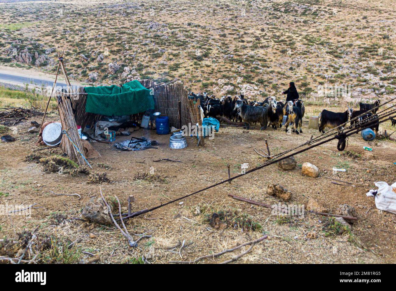 Goats in a nomad camp in Zagros mountains, Iran Stock Photo - Alamy