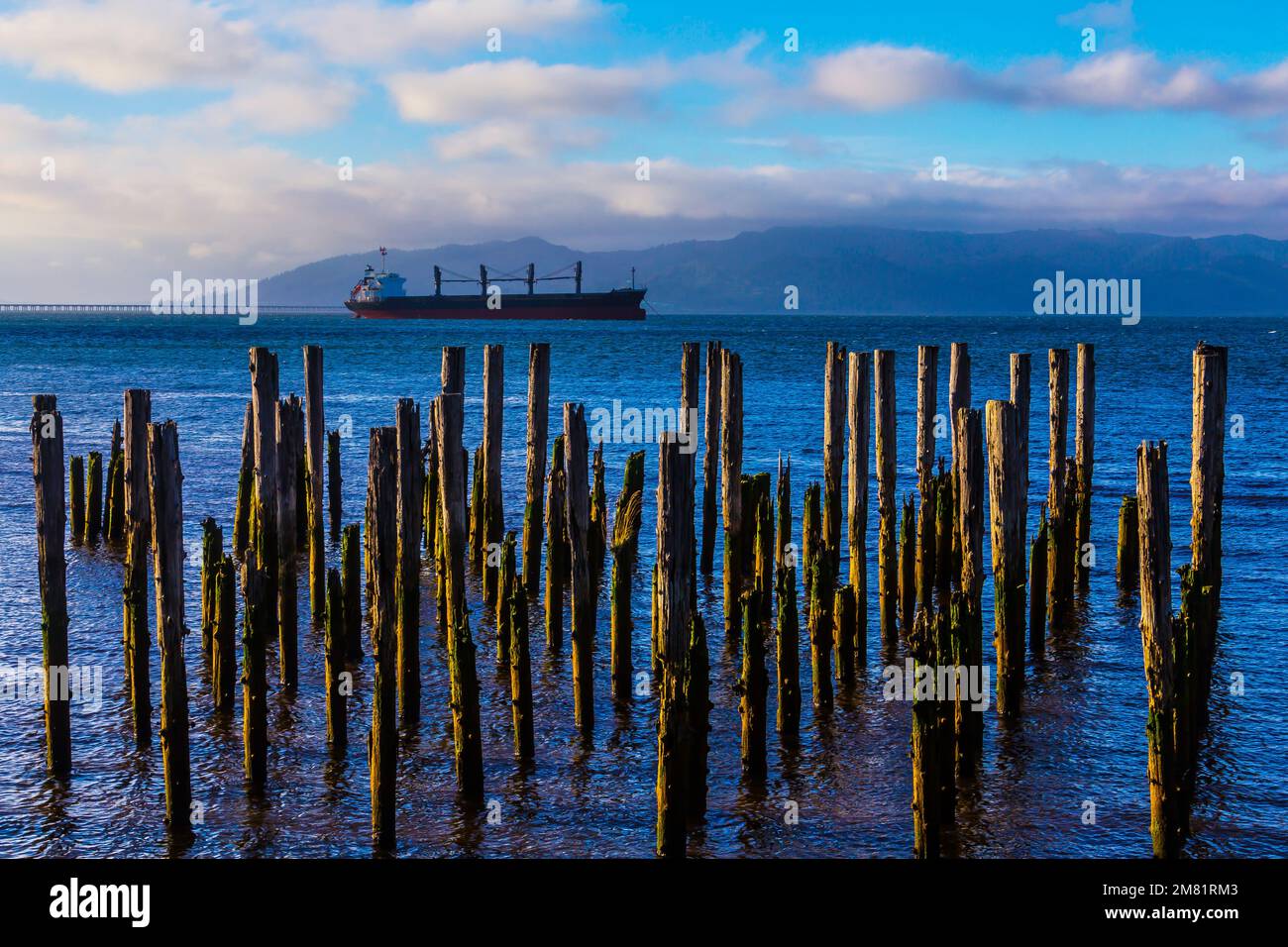 Cargo Ship And Old Pier Posts Stock Photo - Alamy