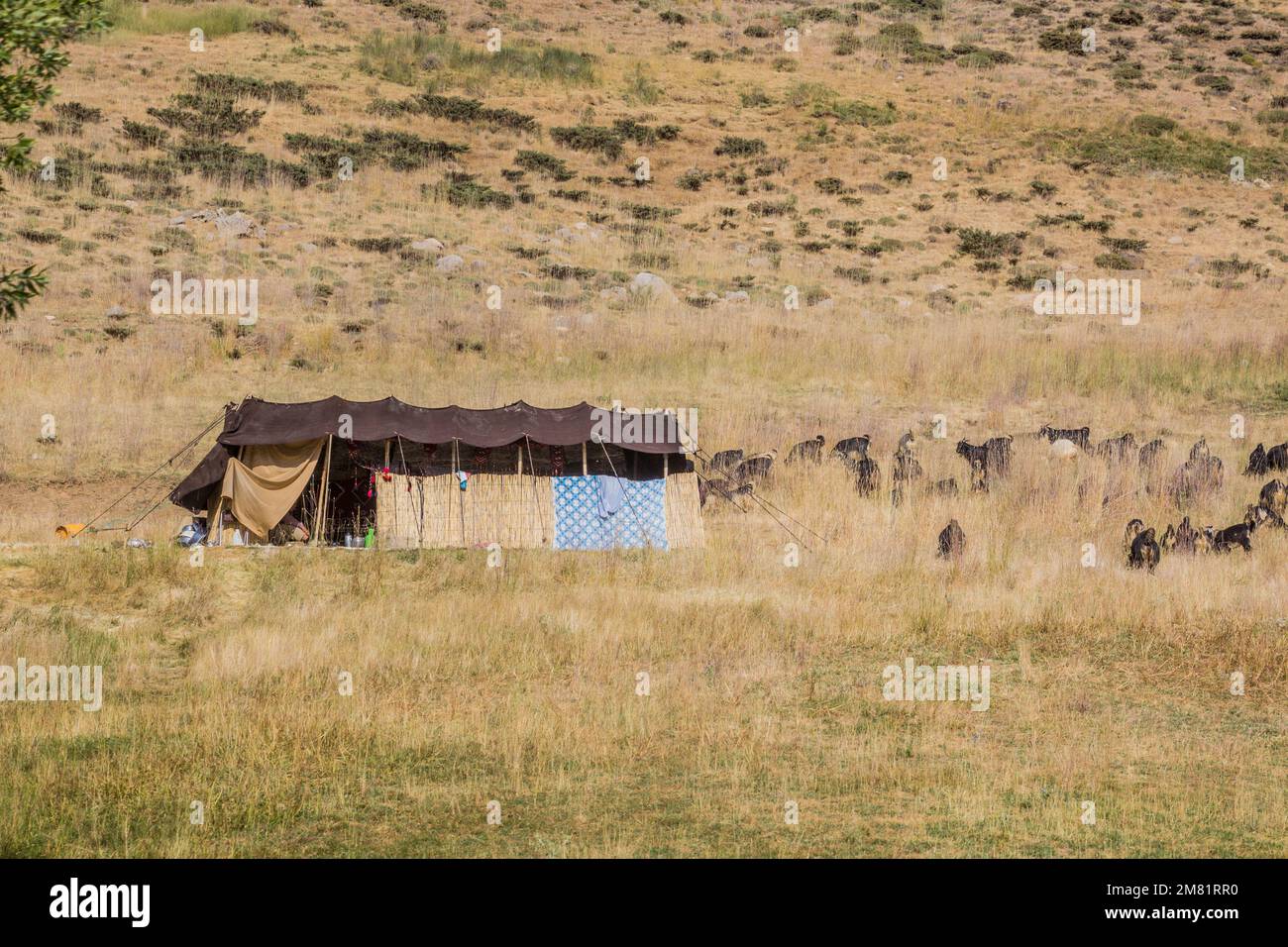 Nomad tent in Zagros mountains, Iran Stock Photo - Alamy