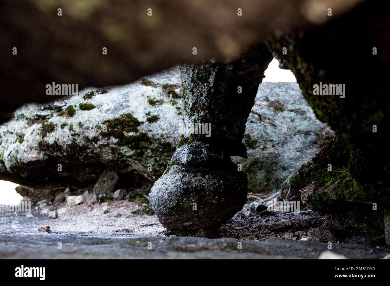 A peculiar round rock formation on the underside of a large boulder ...