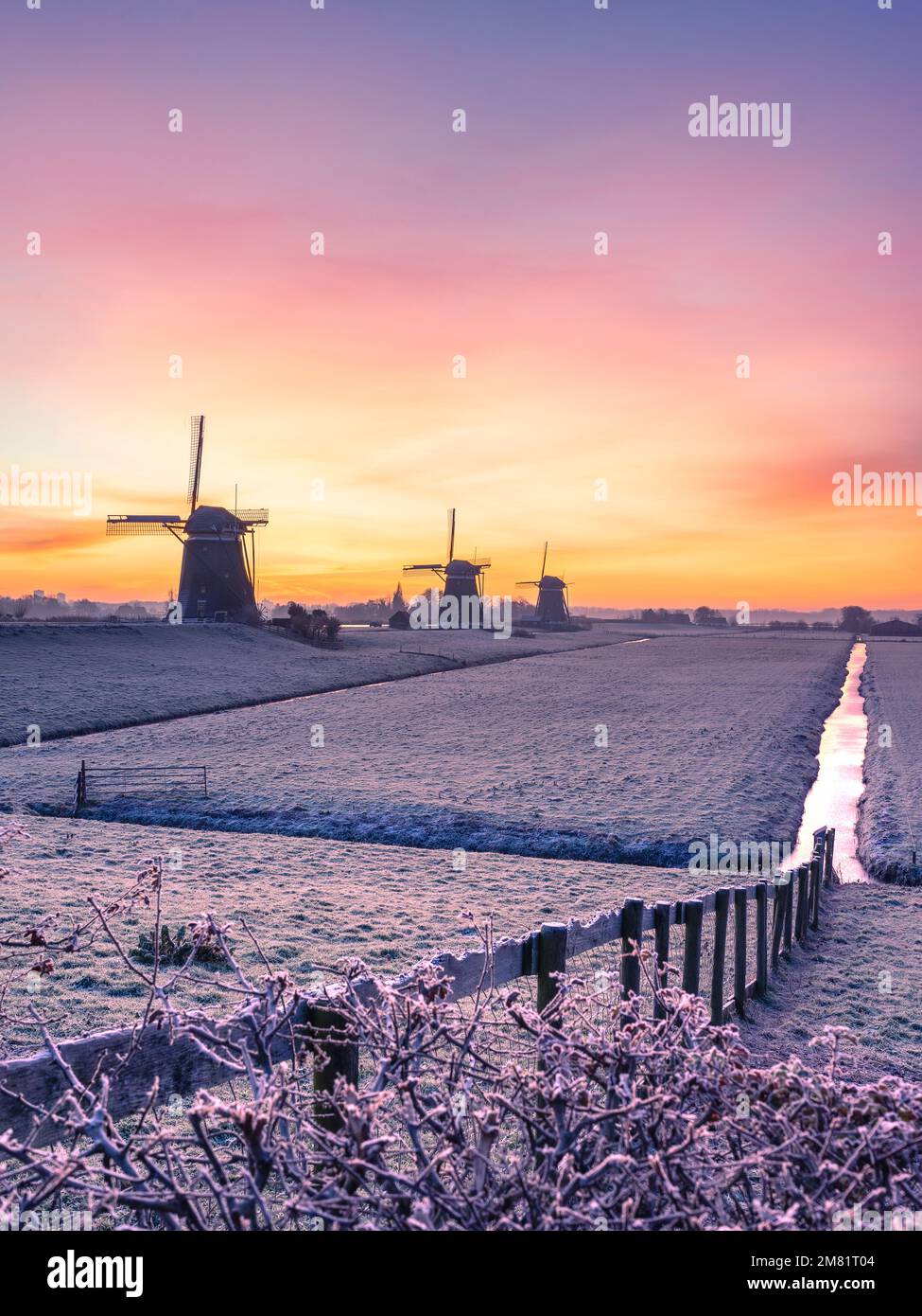 The three windmills at Stompwijk in The Netherlands. During a verg cold ...