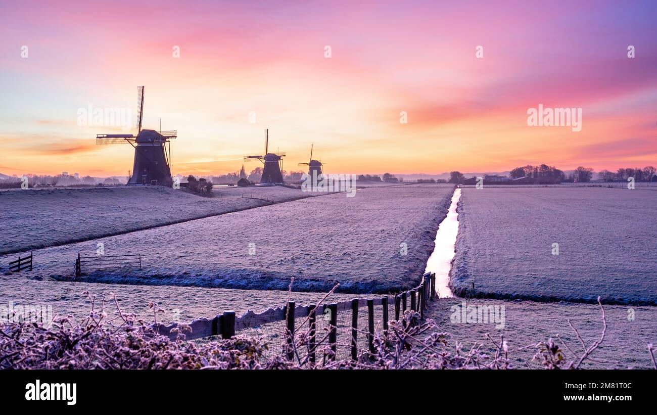 The three windmills at Stompwijk in The Netherlands. During a verg cold ...