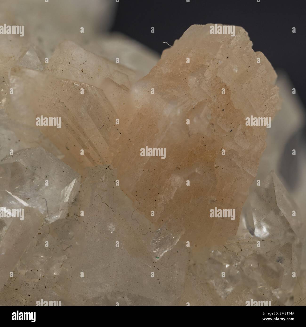 Macro of an apophyllite and stilbite mineral specimen on a black ...