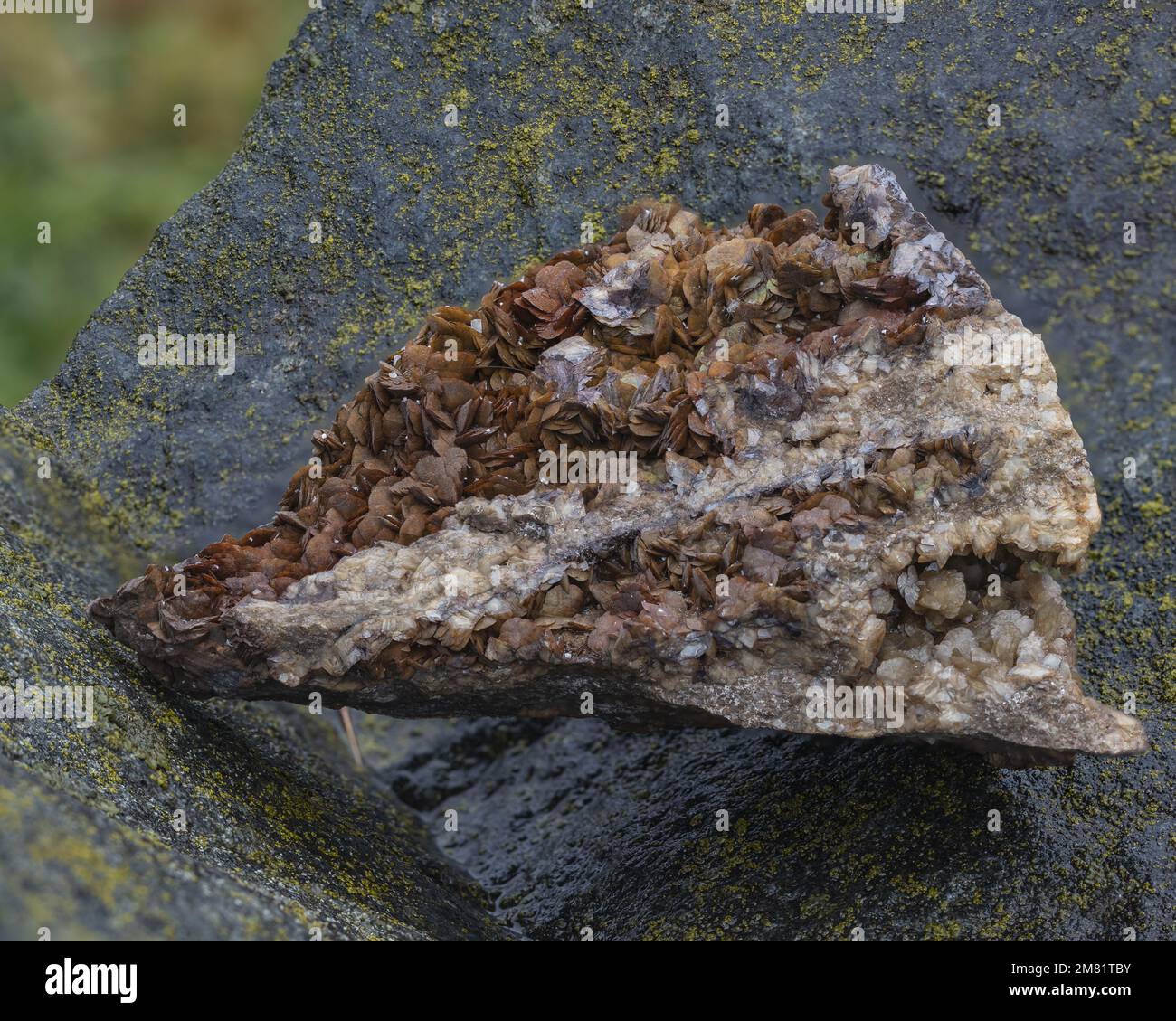 Italian siderite specimen on natural rock background Stock Photo - Alamy