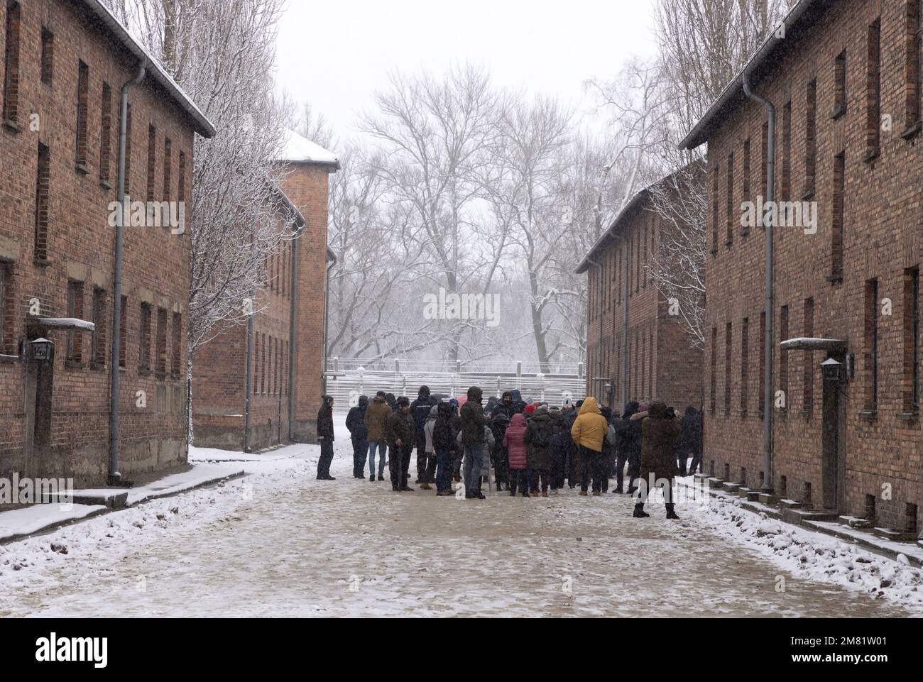 Auschwitz guided tour; a group of visitors looking around the buildings ...