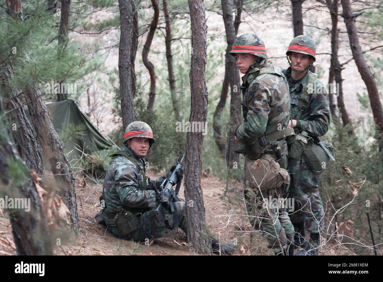 Members of the 25th Infantry Division (Tropic Lightning) participate in ...