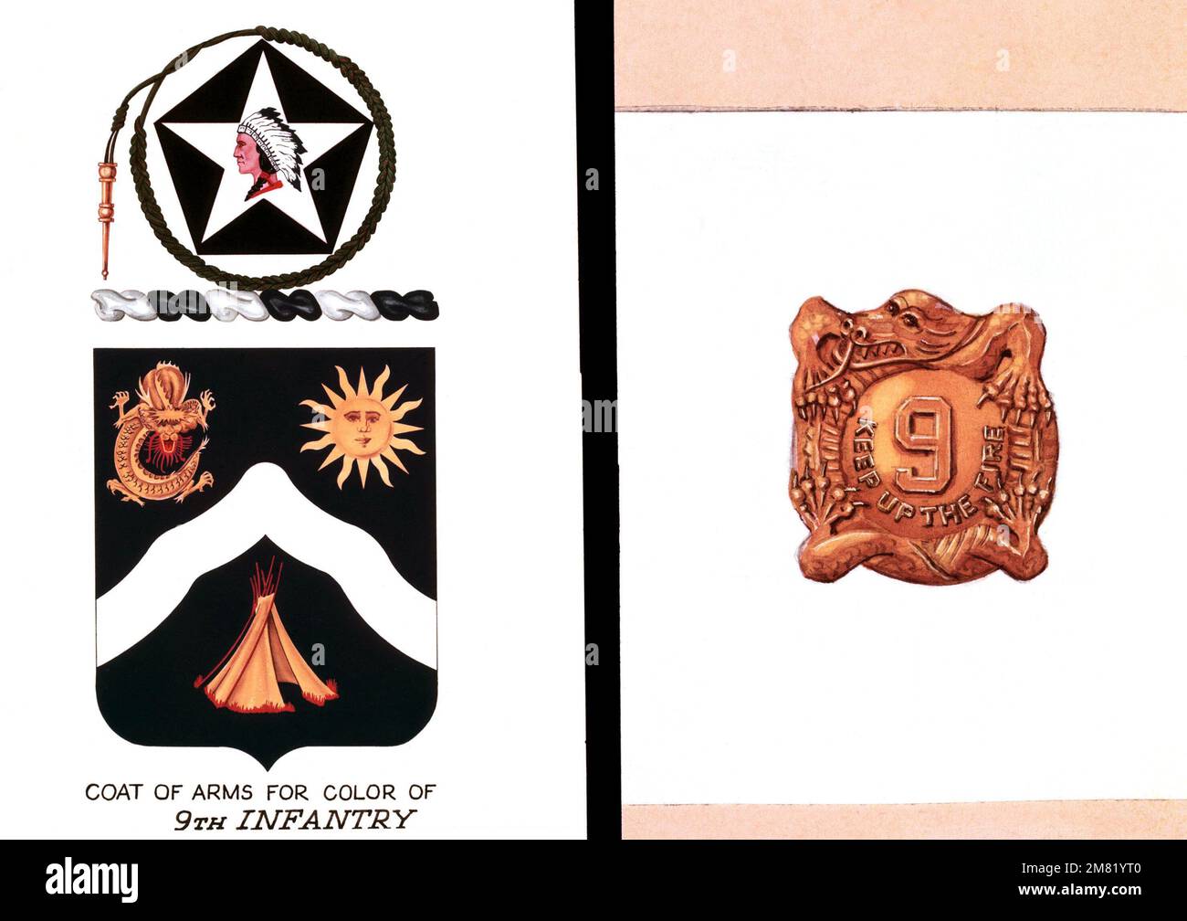 Approved insignia for: 9th Infantry Regiment. Country: Unknown Stock ...