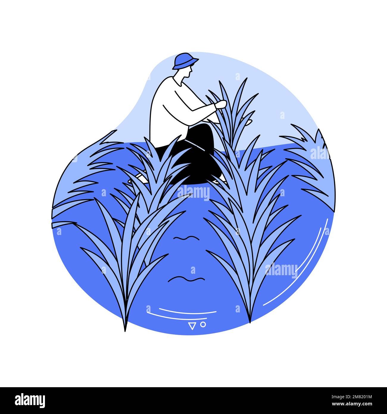 Rice growing isolated cartoon vector illustrations Stock Vector Image ... Rice growing isolated cartoon vector illustrations Stock Vector Image ...