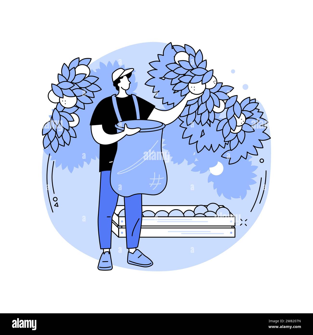 Citrus fruit growing isolated cartoon vector illustrations Stock Vector ...