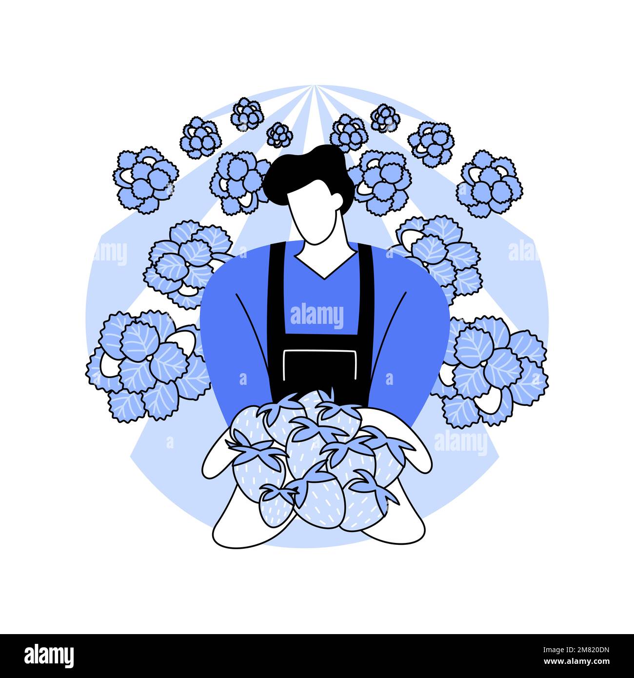Berries growing isolated cartoon vector illustrations Stock Vector ...