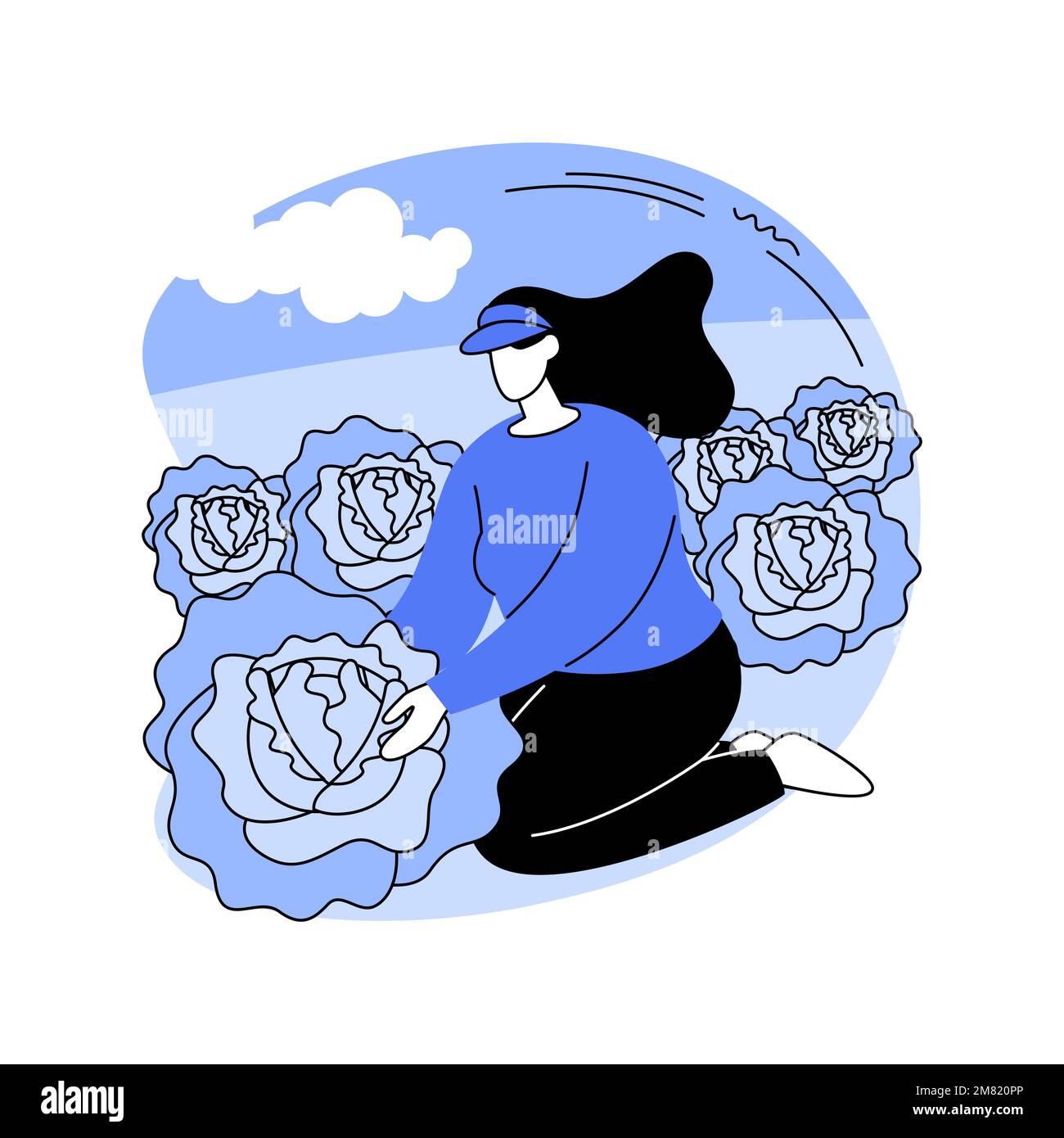 Cabbage farming isolated cartoon vector illustrations Stock Vector ...