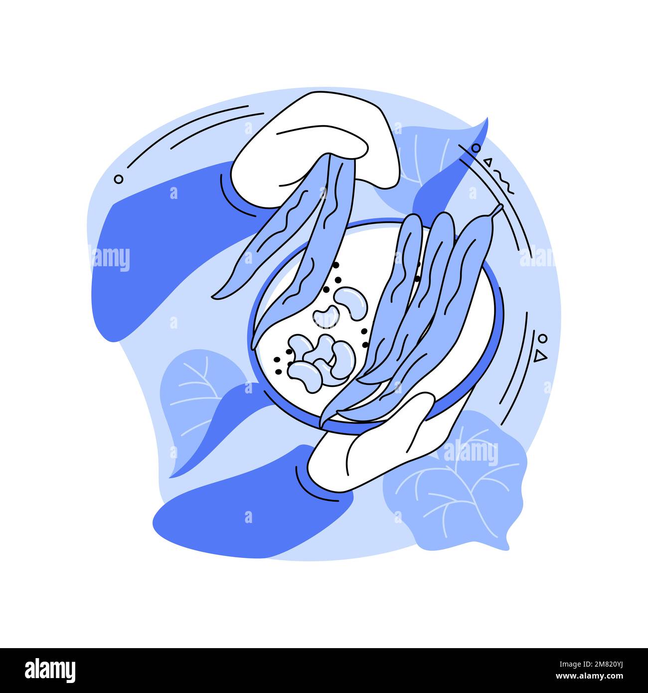 Beans growing isolated cartoon vector illustrations Stock Vector Image ...